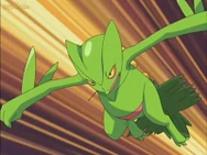Landon | Pokemon: Sinnoh Adventures Wikia | Fandom