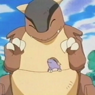 Dalia's Kangaskhan | Pokemon: Sinnoh Adventures Wikia | Fandom