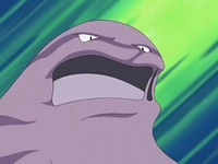 Kellyn's Muk | Pokemon: Sinnoh Adventures Wikia | Fandom