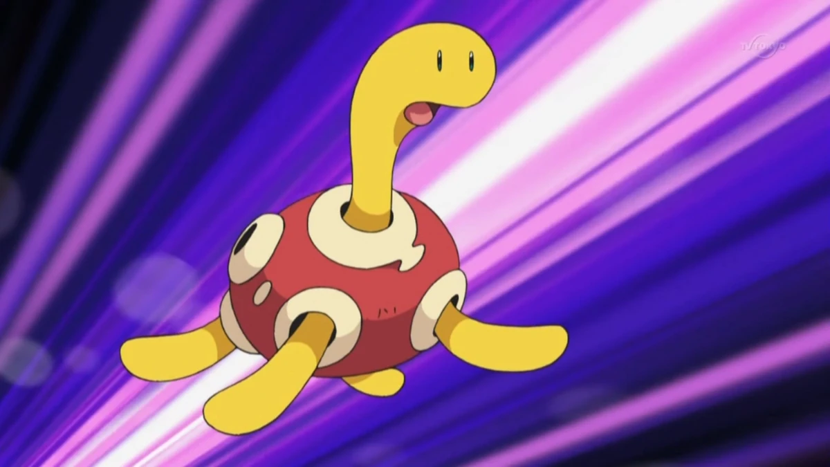 Skylar's Shuckle | Pokemon: Sinnoh Adventures Wikia | Fandom