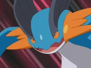 Josh | Pokemon: Sinnoh Adventures Wikia | Fandom