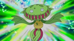 Jessilina's Carnivine | Pokemon: Sinnoh Adventures Wikia | Fandom