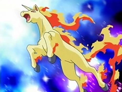 Raliegh's Rapidash | Pokemon: Sinnoh Adventures Wikia | Fandom