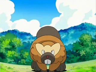 Avery's Bibarel | Pokemon: Sinnoh Adventures Wikia | Fandom