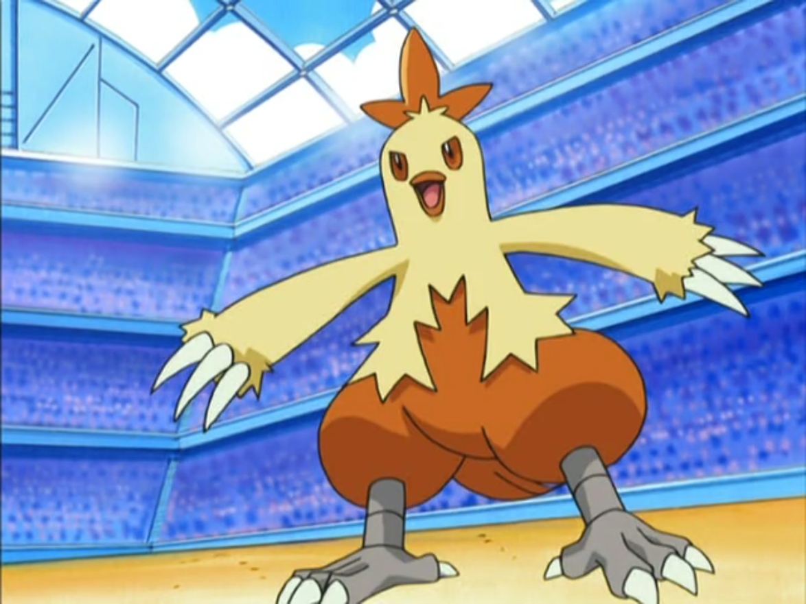 Izzy's Combusken | Pokemon: Sinnoh Adventures Wikia | Fandom
