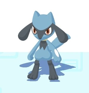 Riolu | Pokémon Sleep Wiki | Fandom