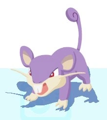 Rattata | Pokémon Sleep Wiki | Fandom