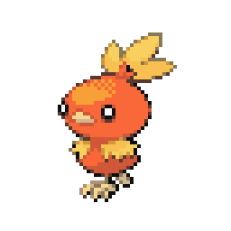 Torchic | Pokémon Snakewood Wikia | Fandom