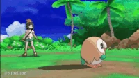 Memes rowlet,popplio y litten | Wikia Pokémon sol y luna | Fandom