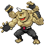 Pokemon Machamp Evolution