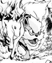 Arcanine | Pokémon Special Wikia | Fandom