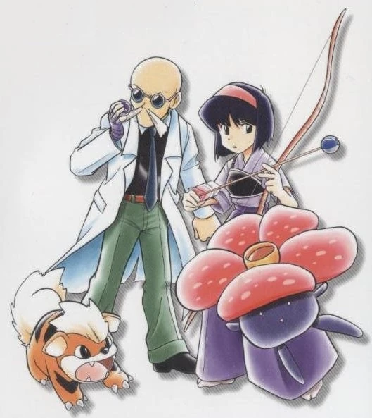 Erika | Pokémon Special Wikia | Fandom