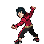 Lee | Pokémon Spork Wiki | Fandom