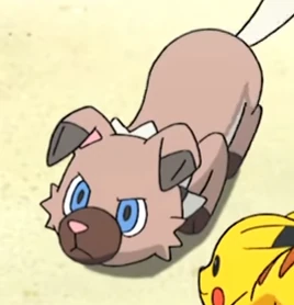 Rockruff | Pokémon Sun and Moon Abridged Wiki | Fandom