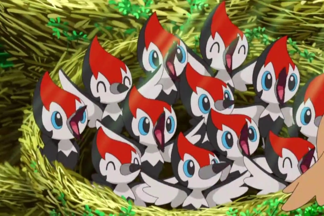 Pikipek | Pokémon Sun and Moon Abridged Wiki | Fandom