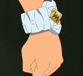 Z-Ring | Pokémon Sun and Moon Abridged Wiki | Fandom