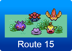 Route 15 (level) | Pokemon Tower Defense Storyline Wiki | Fandom