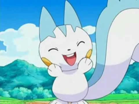 Meg's Pachirisu | Pokemon Trainer's Club Wiki | Fandom