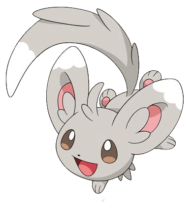 Minccino | Wikia Pokemon two | Fandom