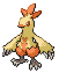 Combusken | Pokemon Ultra Fire Sun Wiki | Fandom