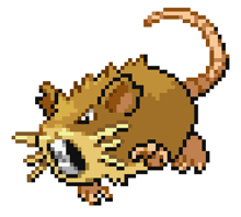 Raticate | Pokemon Ultra Fire Sun Wiki | Fandom