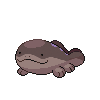 Clodsire | Pokémon Unbreakable Ties Wiki | Fandom