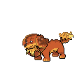 Dachsbun | Pokémon Unbreakable Ties Wiki | Fandom