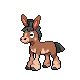 Mudbray | Pokémon Unbreakable Ties Wiki | Fandom
