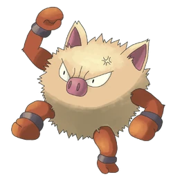 Primeape Evolution Chart