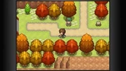 Pokémon Uranium | Pokémon Uranium Wiki | Fandom