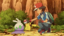 Ash | Pokemon X and Y anime Wiki | Fandom
