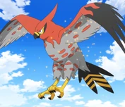 Ash | Pokemon X and Y anime Wiki | Fandom