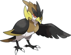 Shawkbird | Pokémon Xenoverse Wiki | Fandom