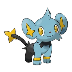 Shinx | Pokémon Xenoverse Wiki | Fandom
