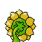 Sunflora | Pokémon Wiki | Fandom