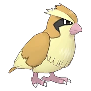 Pidgey | Pokémon Wiki | Fandom