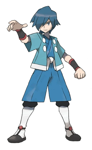 Falkner | Pokémon Wiki | Fandom