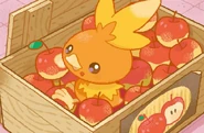 Torchic | Pokémon Wiki | Fandom