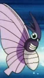 Assunta | Pokémon Wiki | Fandom