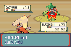Blaze Kick | Pokémon Wiki | Fandom