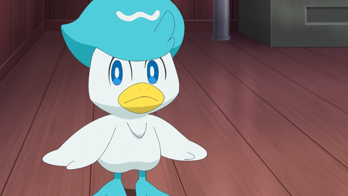 Dot's Quaxly | Pokémon Wiki | Fandom