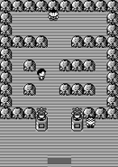 Pewter City Gym | Pokémon Wiki | Fandom