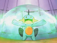 Protect | Pokémon Wiki | Fandom