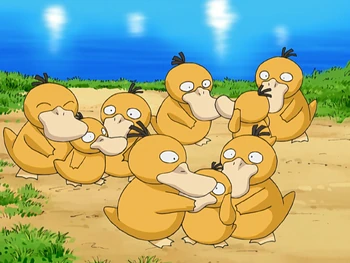Psyduck (DP087) | Pokémon Wiki | Fandom