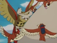 Peck | Pokémon Wiki | Fandom