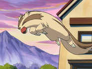 Pickup | Pokémon Wiki | Fandom