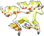 Rapidash | Pokémon Wiki | Fandom