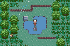 Rain | Pokémon Wiki | Fandom