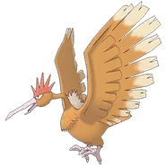 Fearow | Pokémon Wiki | Fandom