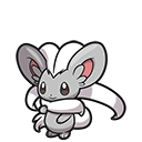 Cinccino | Pokémon Wiki | Fandom